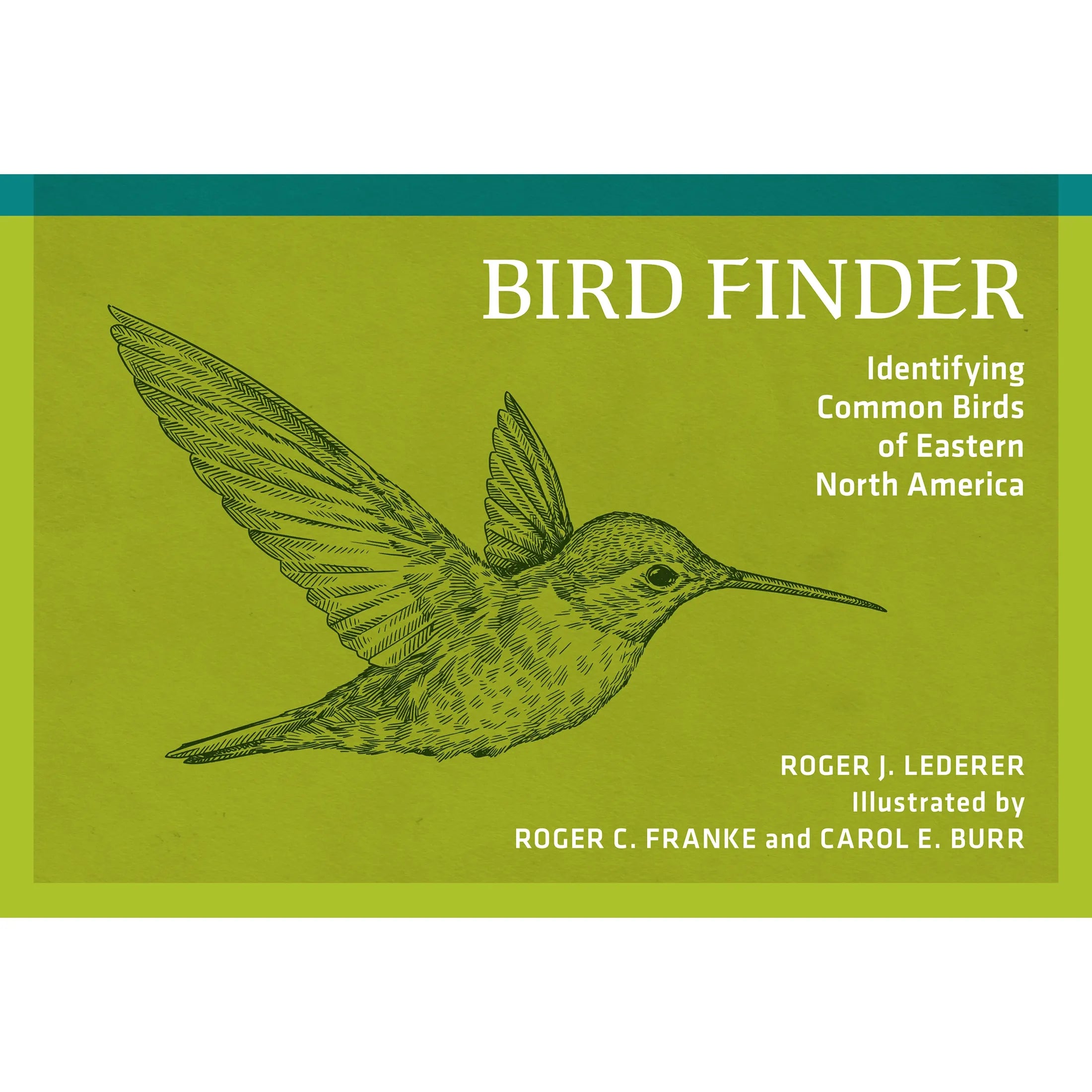 Bird Finder: Identifying Common Birds of Eastern North America – Soleil